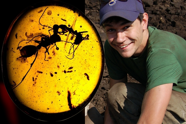 Ants Were Socializing – and Sparring – Nearly 100 Million Years Ago ...