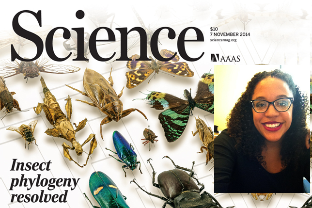 Of Dragonflies and Dinosaurs: Researcher Helps Map Insect Origins ...