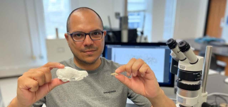 Scientist’s Roots in Puerto Rico Shaped His Research on Biodiversity ...